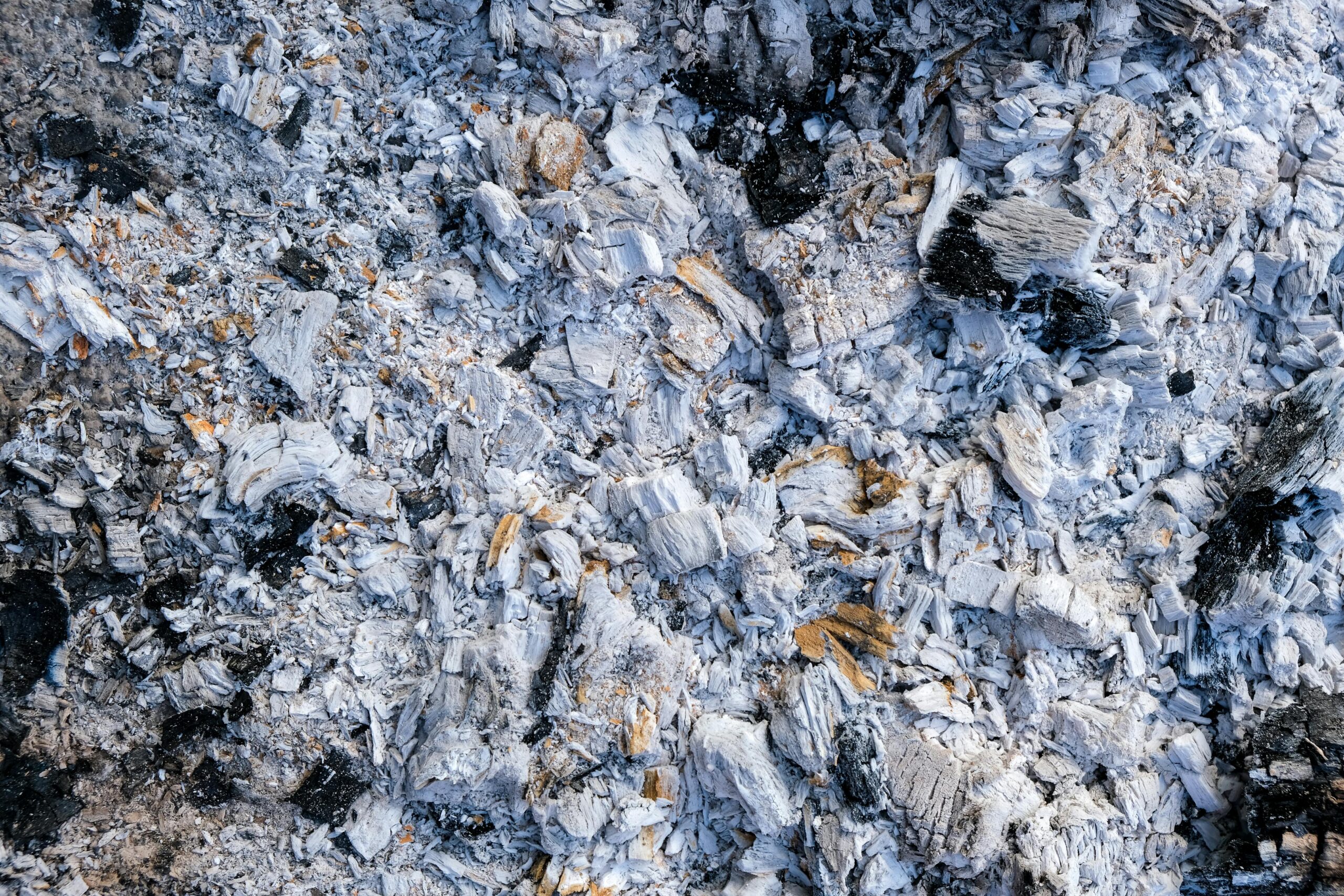 Federal vs. Private Debris Removal: Choosing the Best Option After the ...